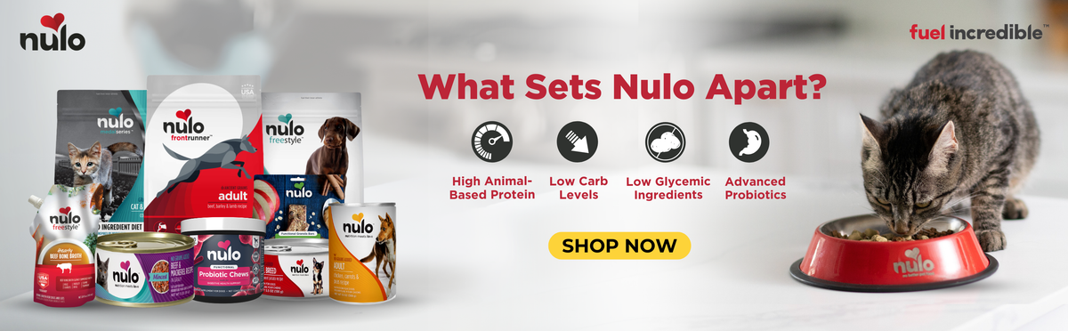 PetCentral Oman, Premium Pet Food Store Muscat Oman, Pet Supplies